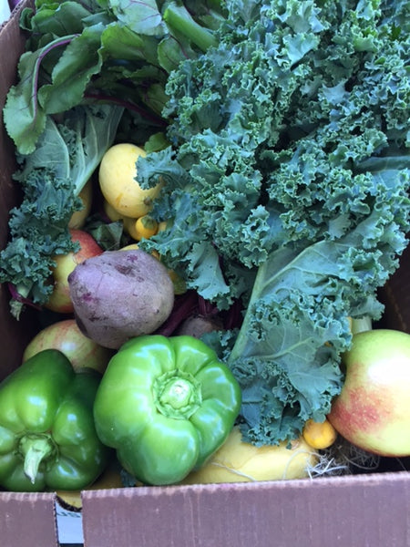 Vegetable Club – ACC